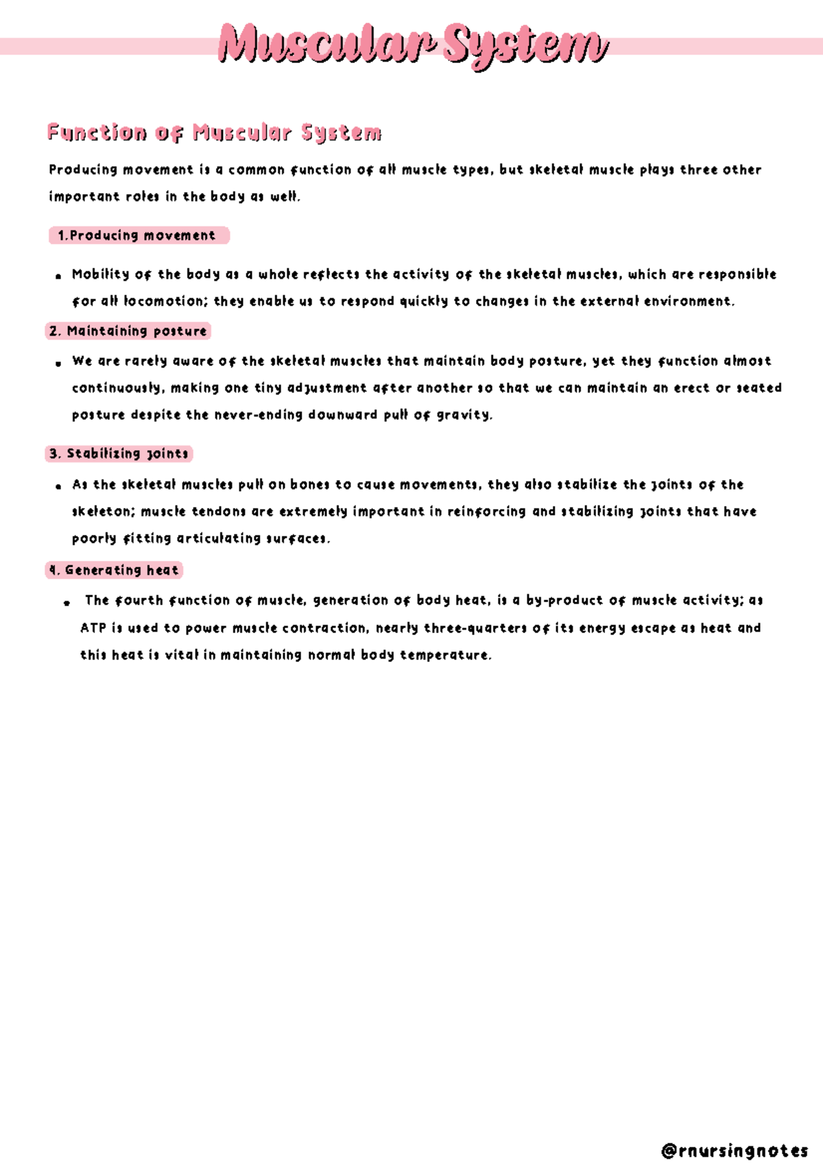 Muscular System Functions and Anatomy - Review (BIO101) - Studocu