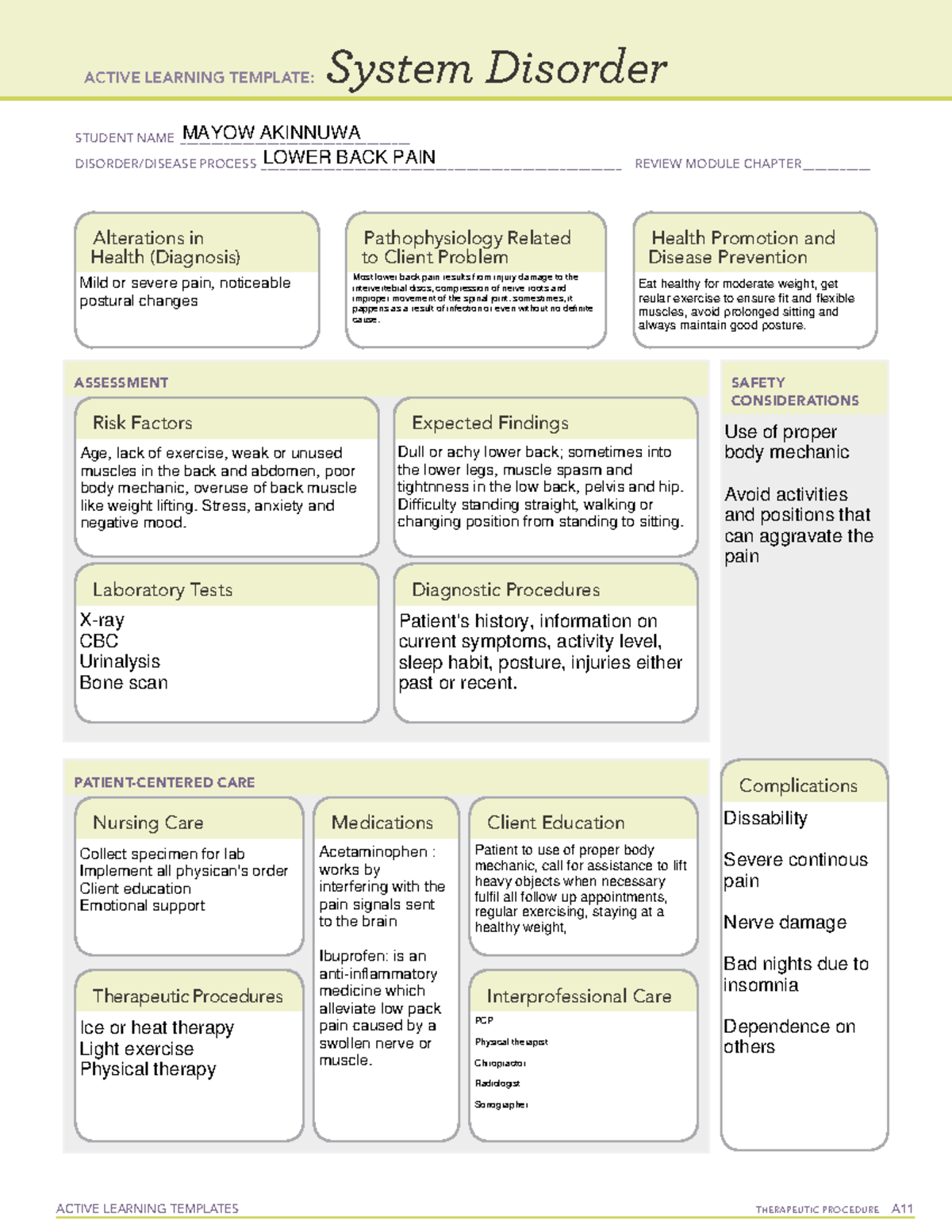 Active Learning Template: System Disorder - Lower Back Pain (PAIN ...