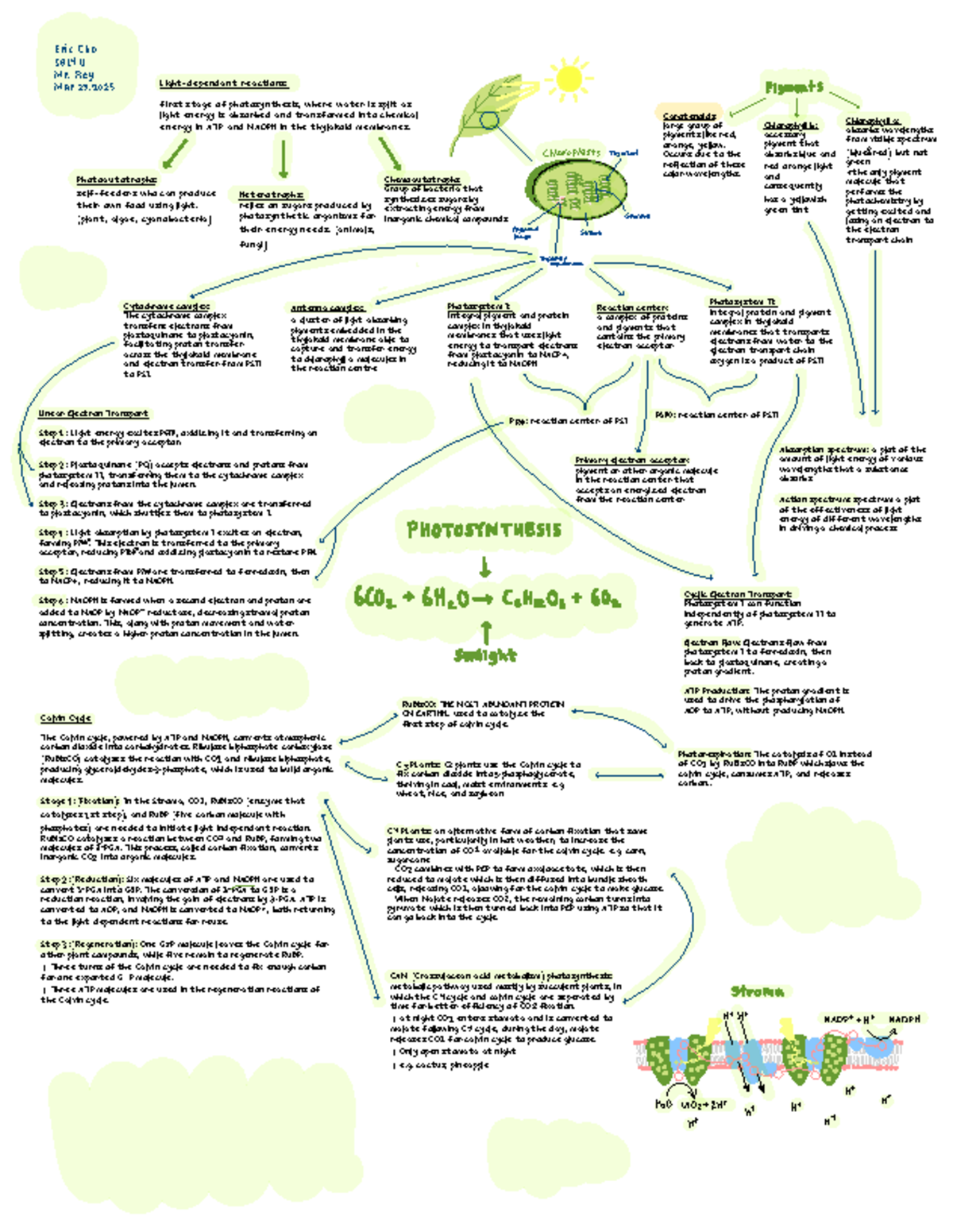 Unit 7 - Photosynthesis Summary: Key Processes & Pigments - Studocu