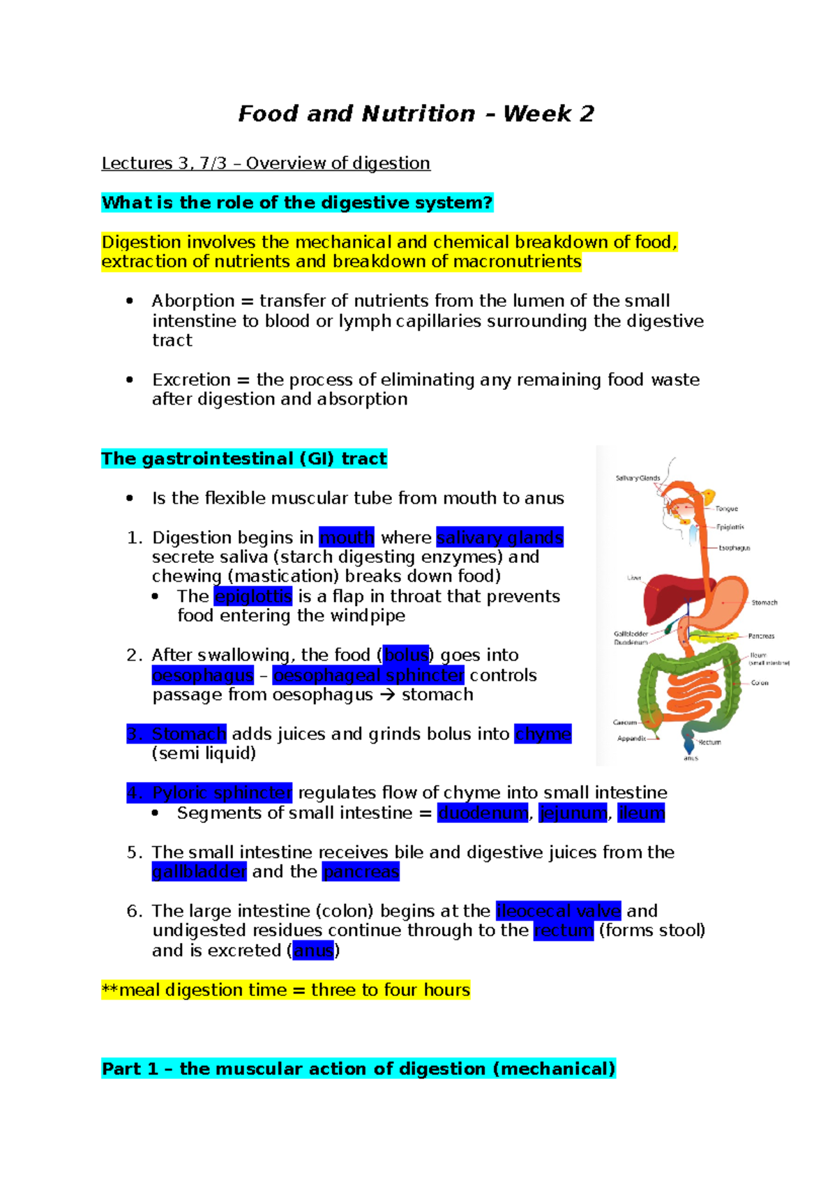 Week 2 Notes - Food and Nutrition – Week 2 Lectures 3, 7/3 – Overview ...