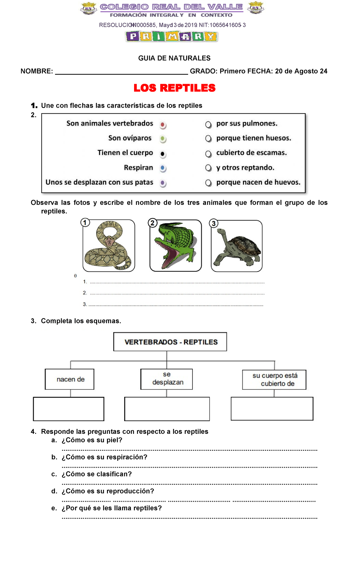 Reptiles - RESOLUCIONN°000585, Mayo 13 de 2019. NIT: 1065641605 - 3 ...