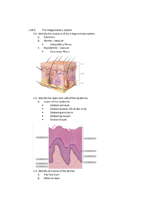 Unit 6 Skeletal System - 6 Functions of the Skeletal System: STORAGE ...