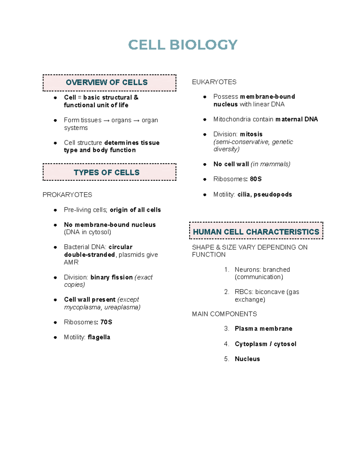 CELL BIOLOGY HAPP: Overview of Eukaryotic and Prokaryotic Cells - Studocu