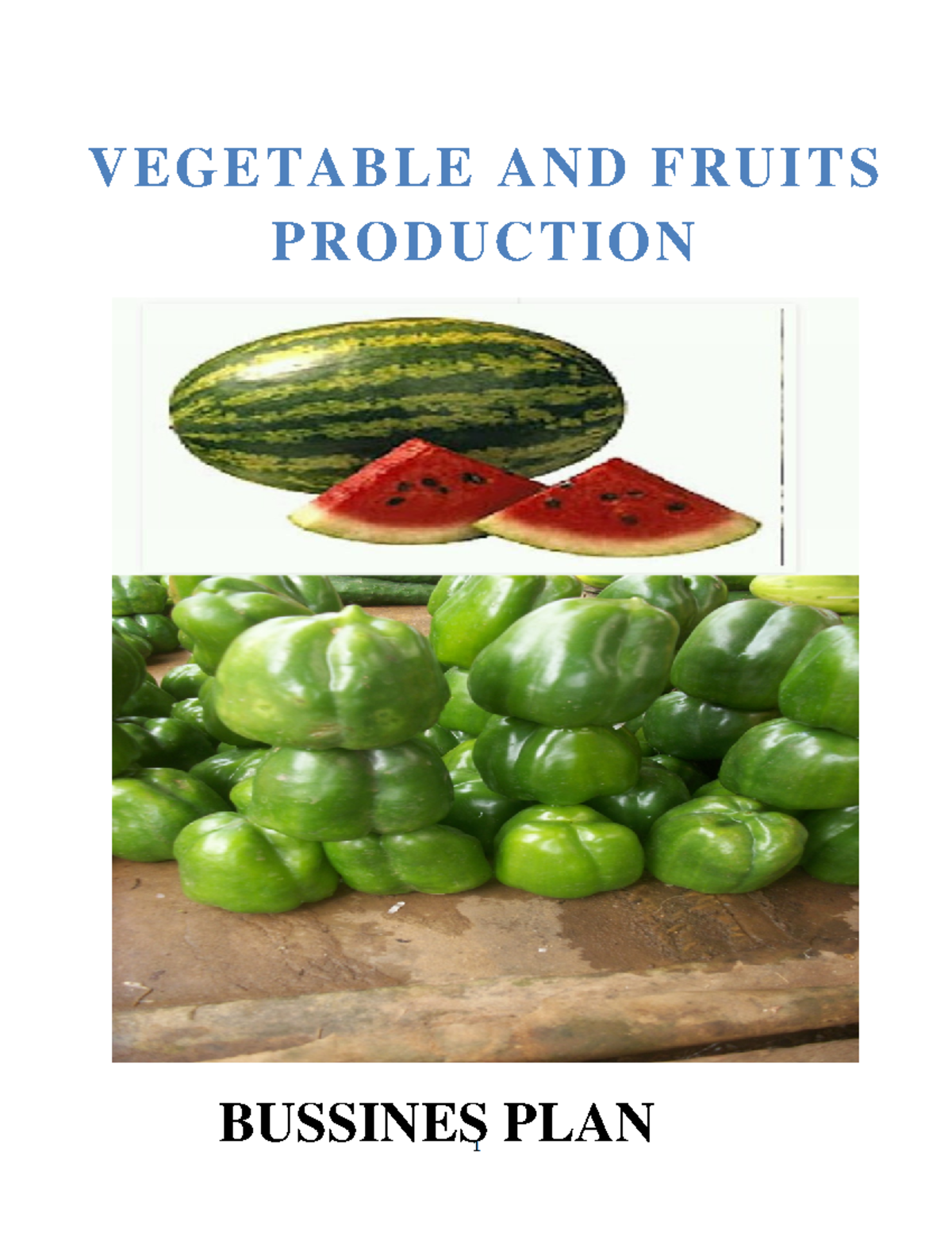 Vegetable & Fruits Production Business Plan (BAPA) - Dodoma Region ...