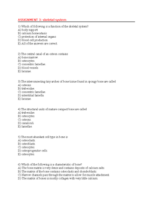 Muscle Tissue Assignment 4: Structure and Function Overview ...