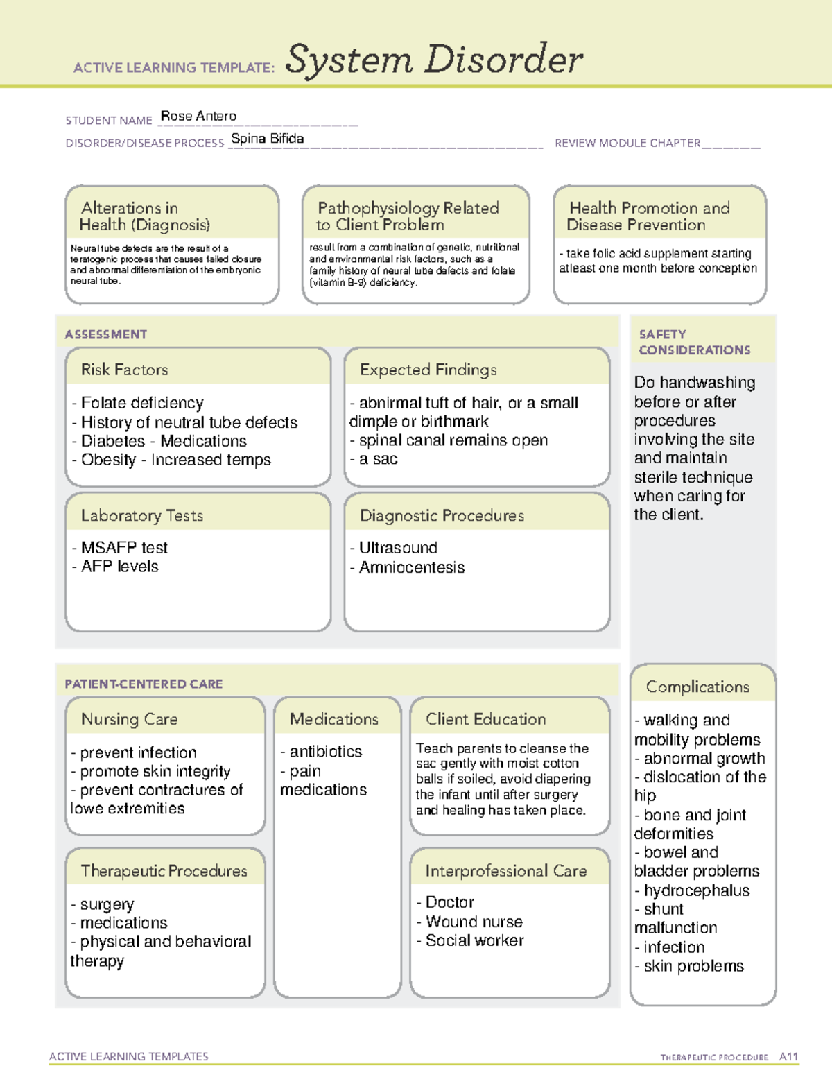 Active learning template: Spina bifida pathophysiology and care ...