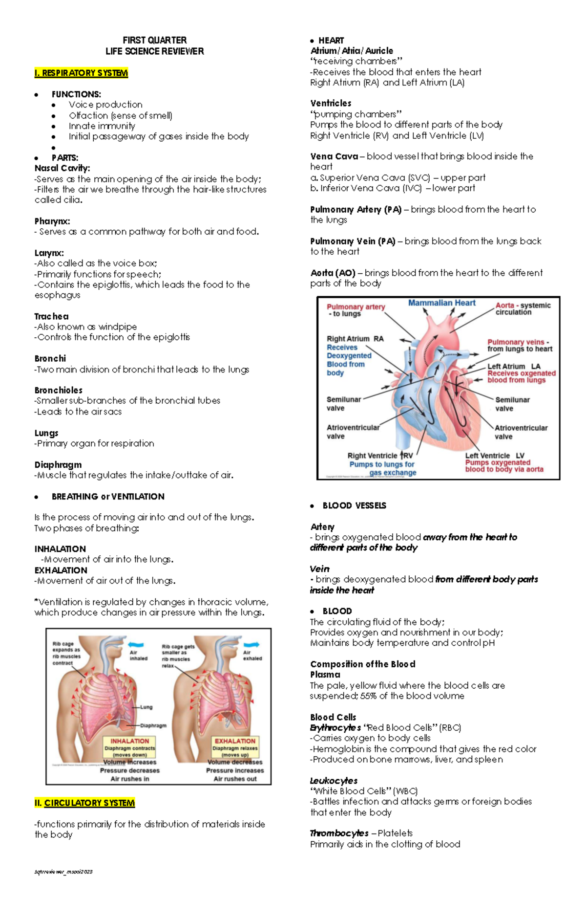 1st Quarter Life Science Reviewer: Respiratory & Circulatory Systems ...