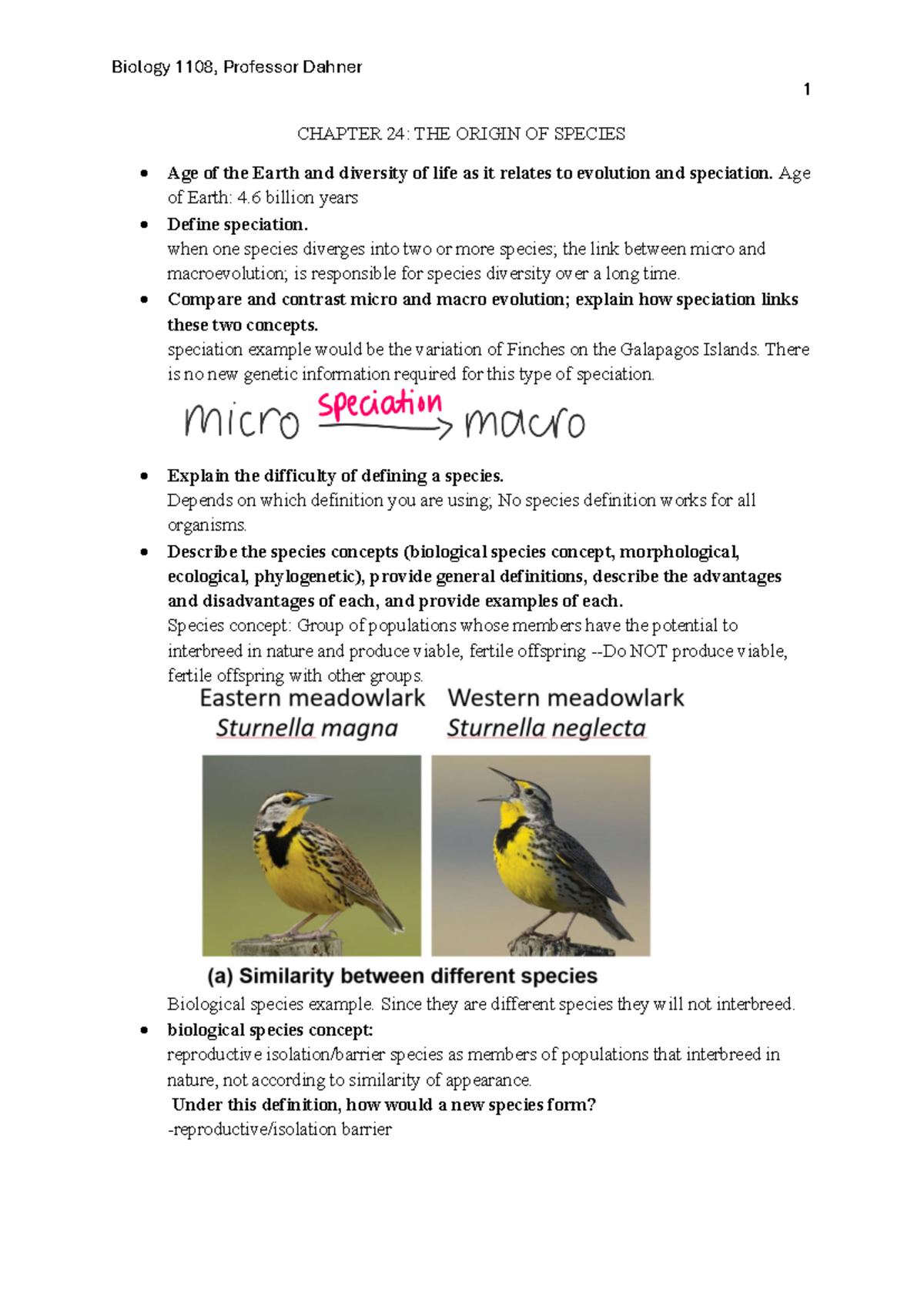 Chapter 24 - The Origin of Species Notes - Studocu