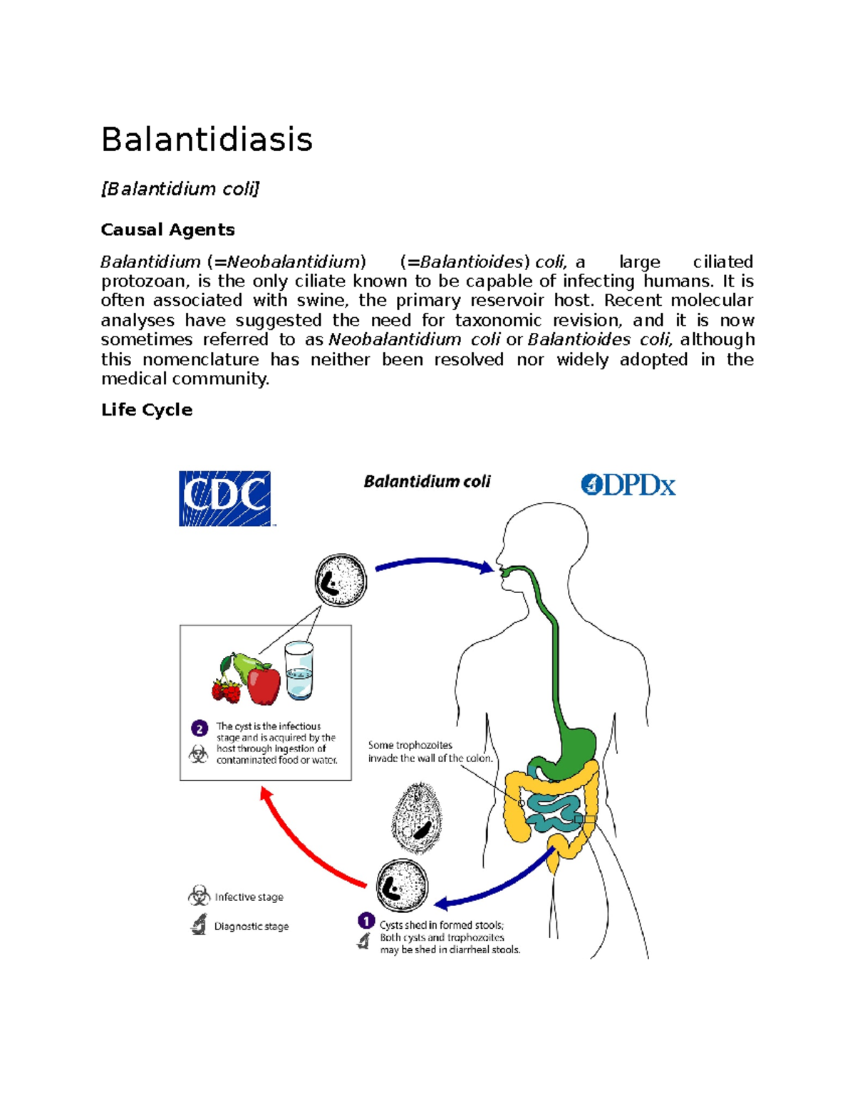 Balantidiasis - Lecture Notes 1: Understanding Balantidium coli - Studocu