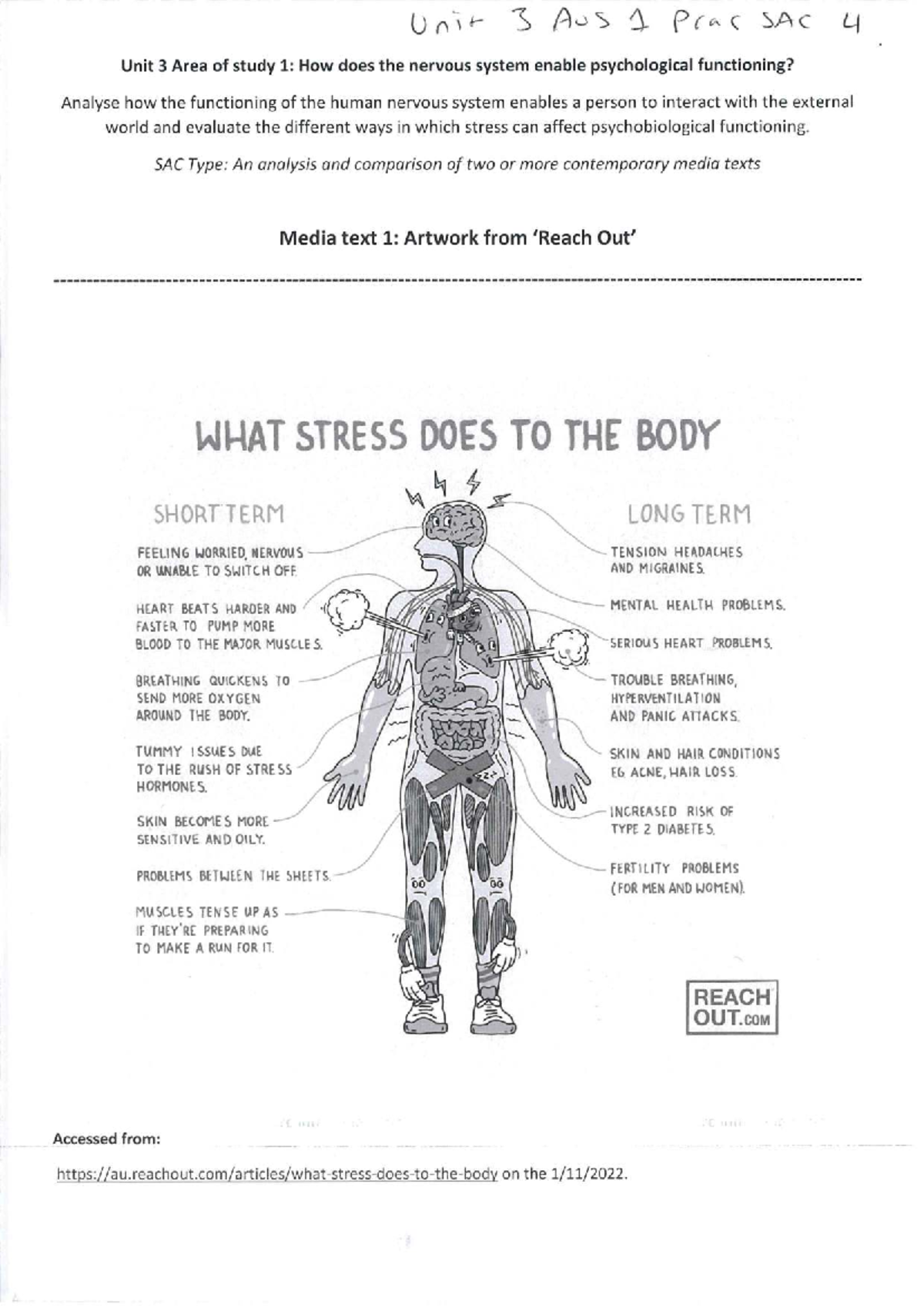 VCE Psych Unit 3 AOS 1 SAC: Nervous System & Stress Analysis - Studocu