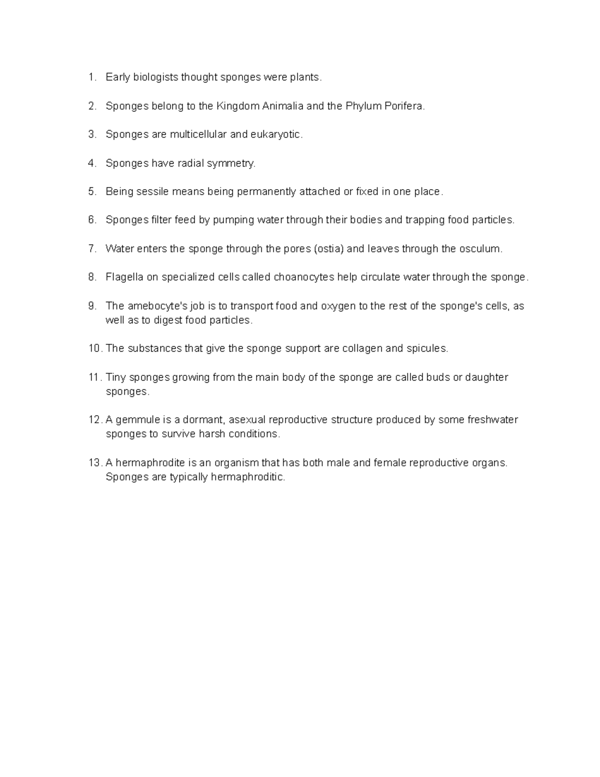 Zoology - Phylum Porifera - Sponge Study Guide & Answer Key - Studocu
