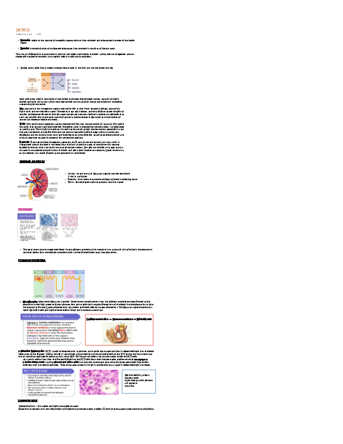 Excretion Processes and Mechanisms: A Comprehensive Overview - Studocu