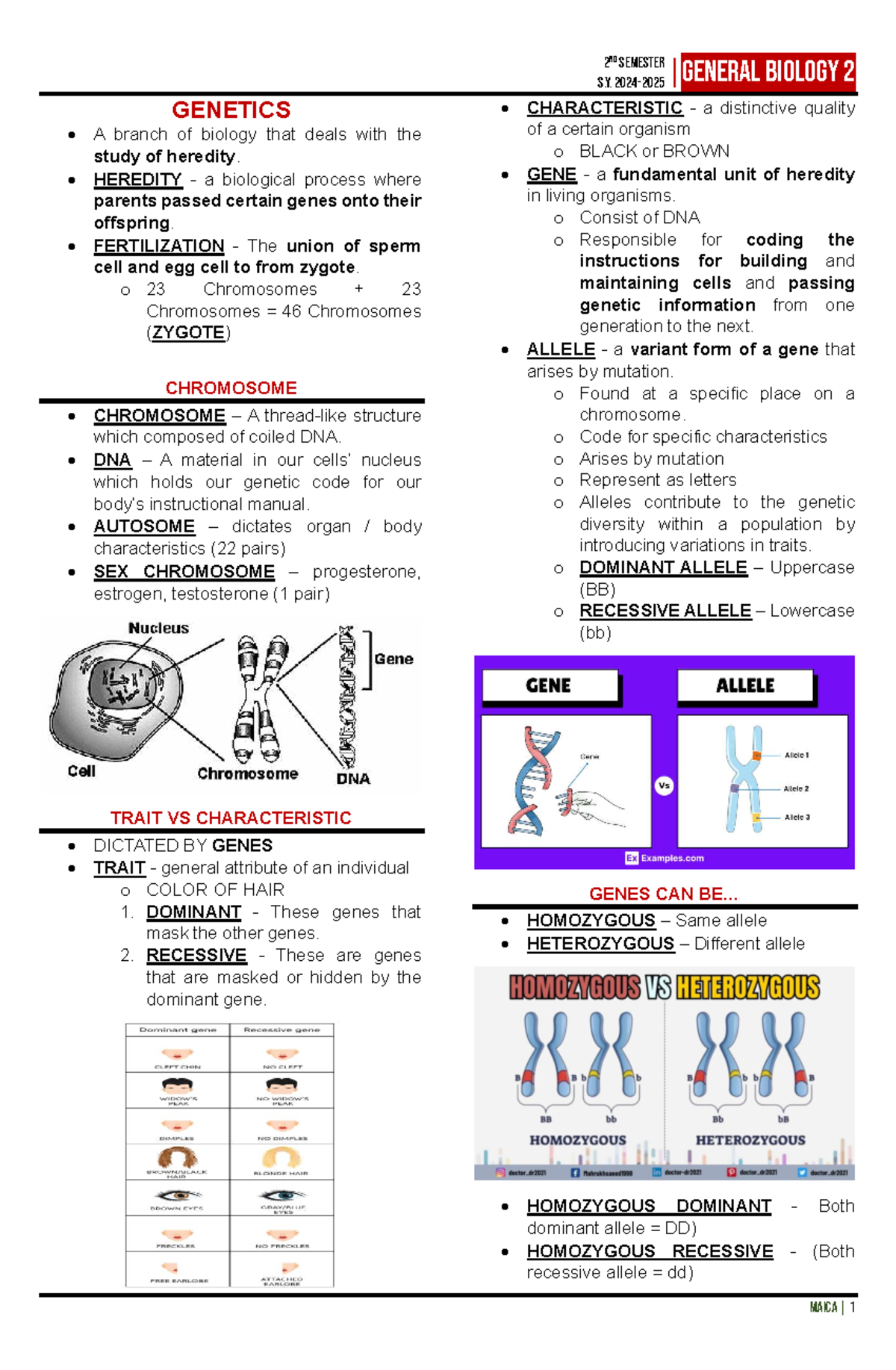 Genbio 2ND SEMESTER s.Y. Genetics Final Exam Notes - Studocu