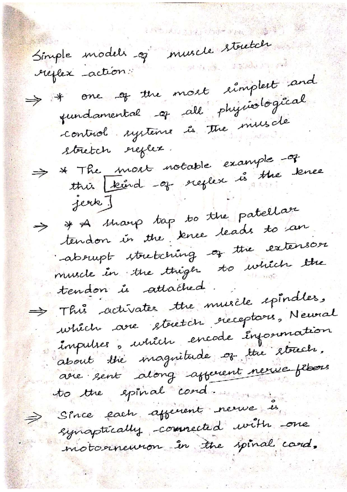 Bio Control System: Muscle Stretch Reflex Explained (BIO 101) - Studocu