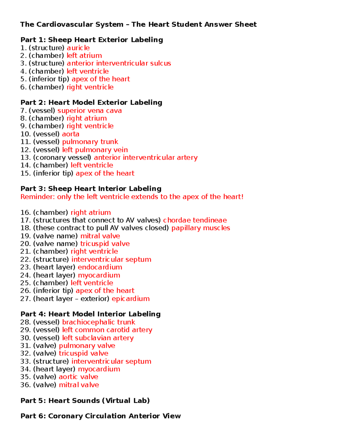 Cardiovascular System Heart Anatomy Lab Student Answer Sheet - Studocu