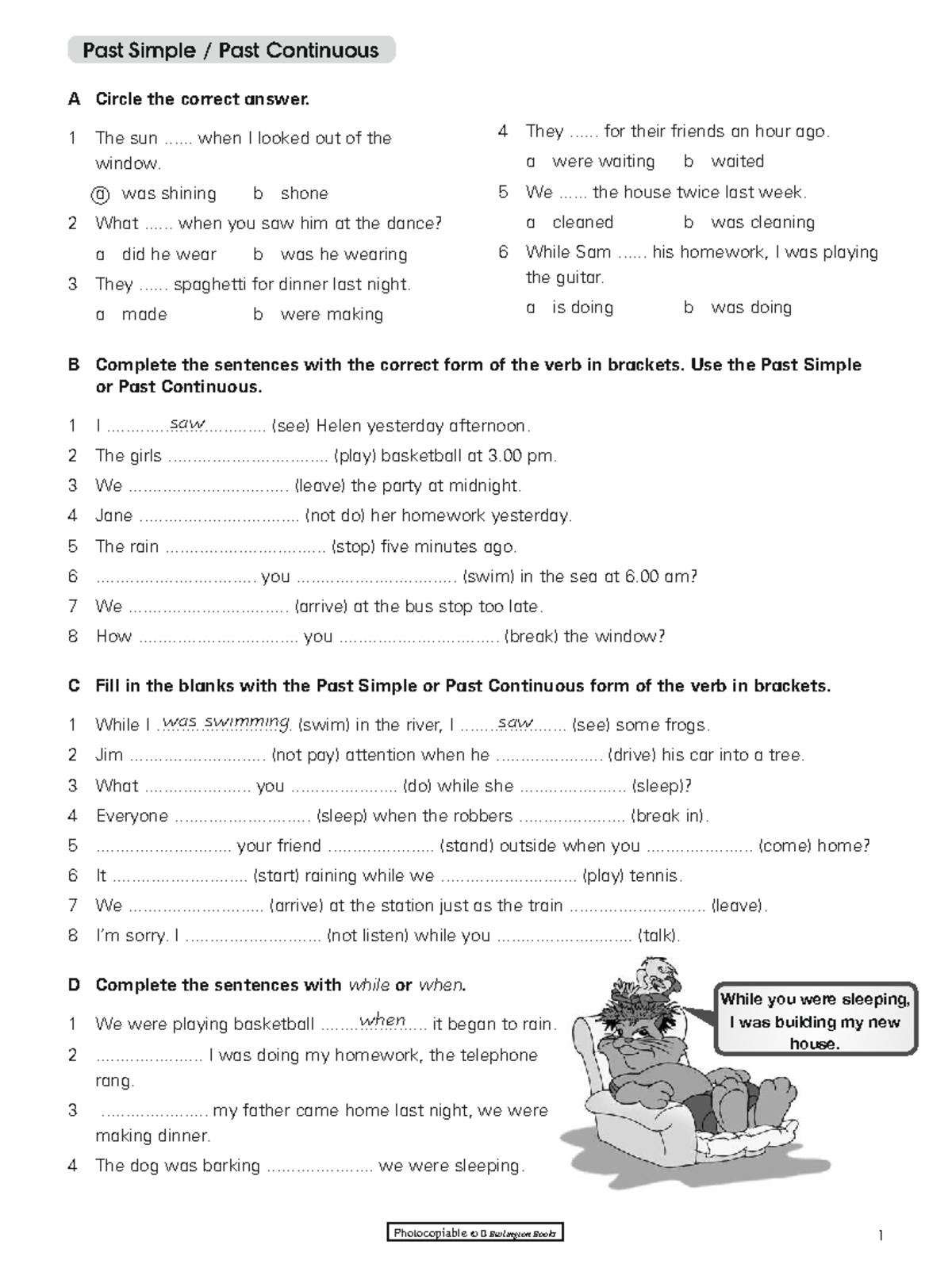 Grammar Notes: Past Simple & Past Continuous (18845) - Studocu