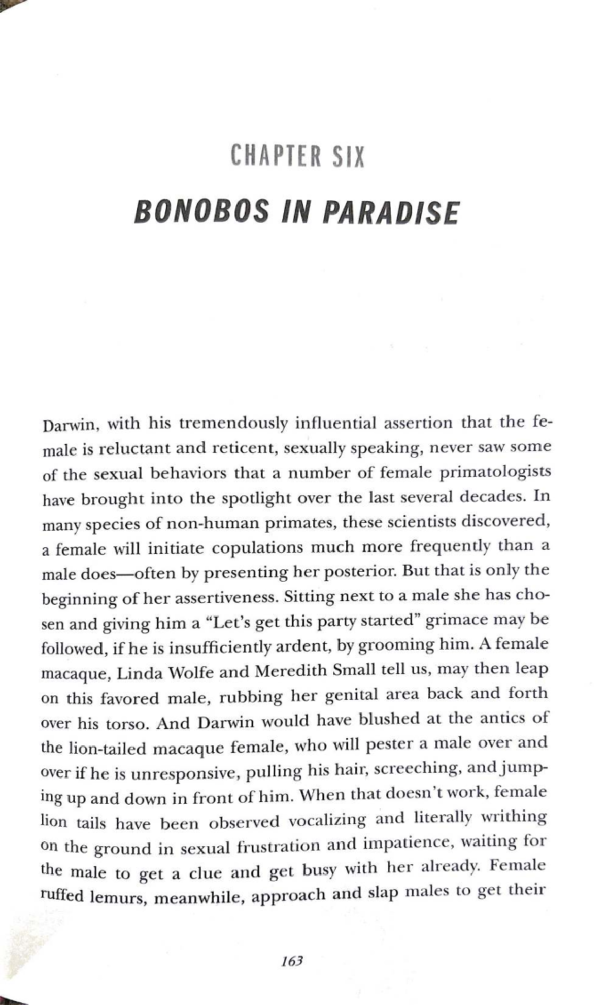 Bonobos in Paradise: Female Dominance and Sexual Behavior Insights ...