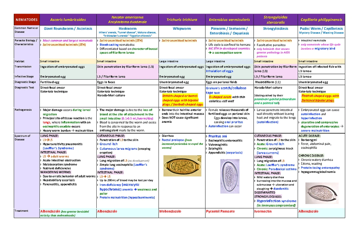 Micropara CH12: Overview of Protozoa and Related Diseases - Studocu