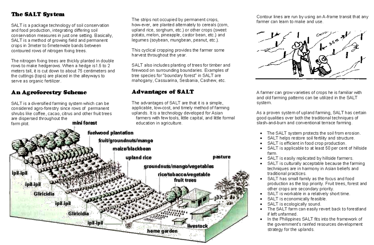 SALT System: Soil Conservation & Agroforestry Techniques Explained ...