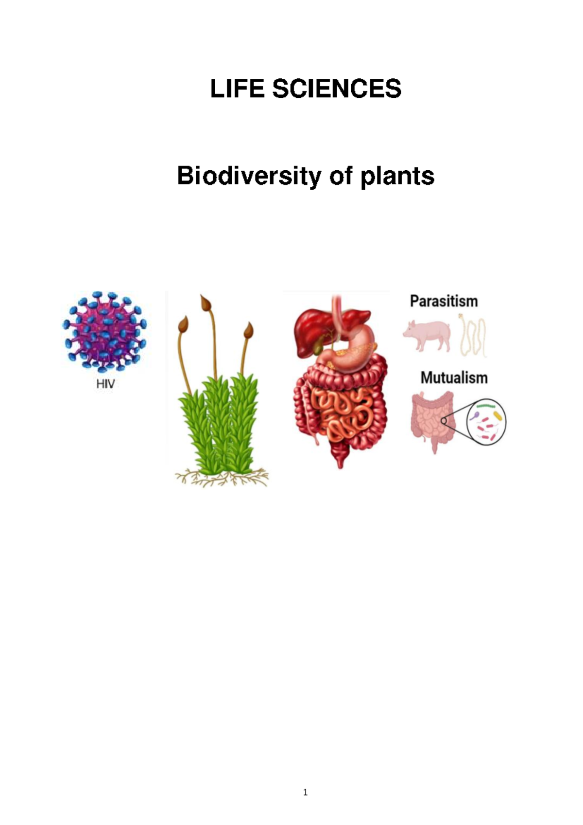 Grade 11 LIFE SCIENCES: Biodiversity of Plants Exam Notes & Tips - Studocu