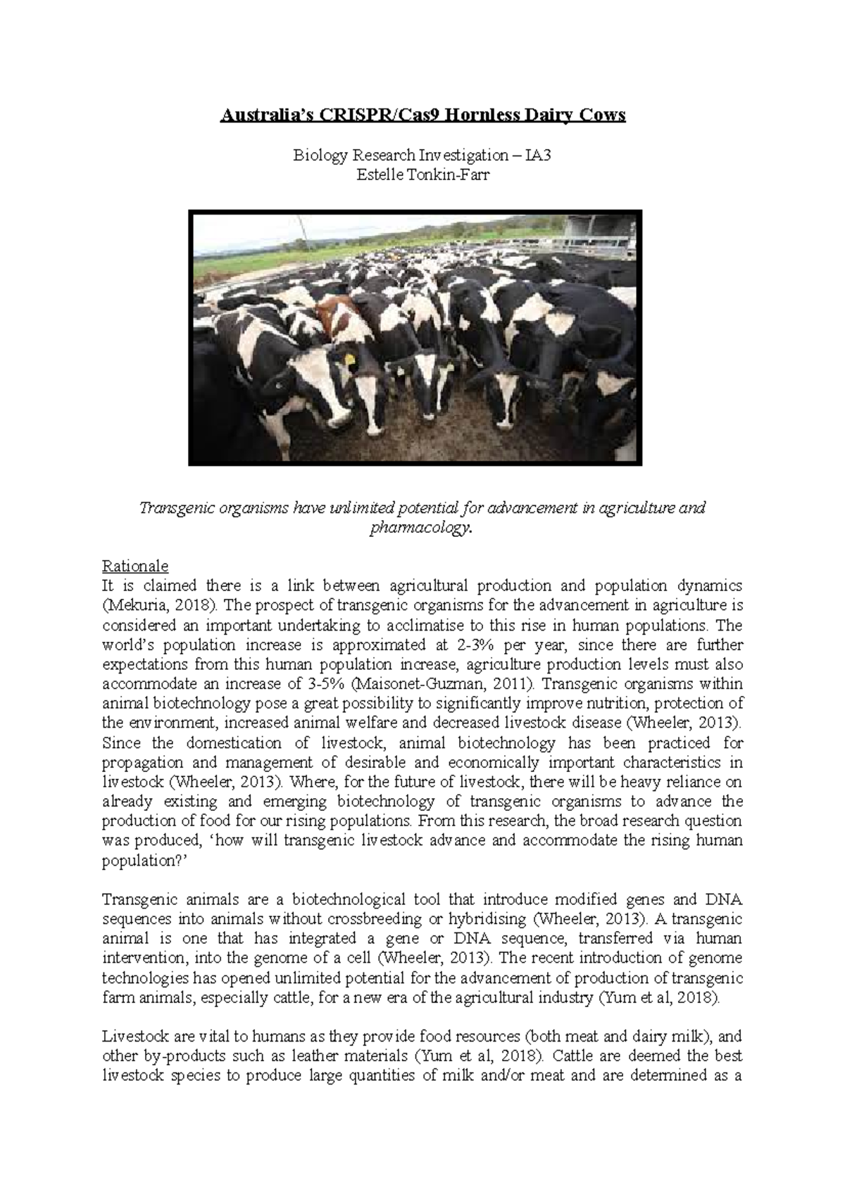 IA3 Biology Research Investigation: Advancing Hornless Dairy Cows via ...