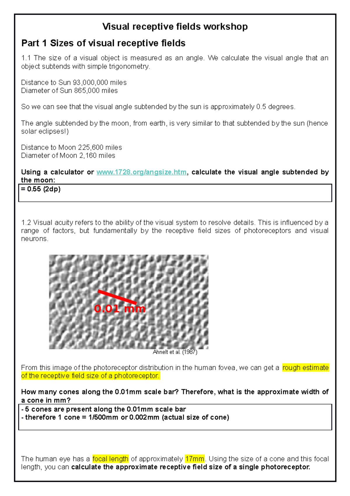 Visual Receptive Fields Worksheet 2022-1: Understanding Dynamics and ...