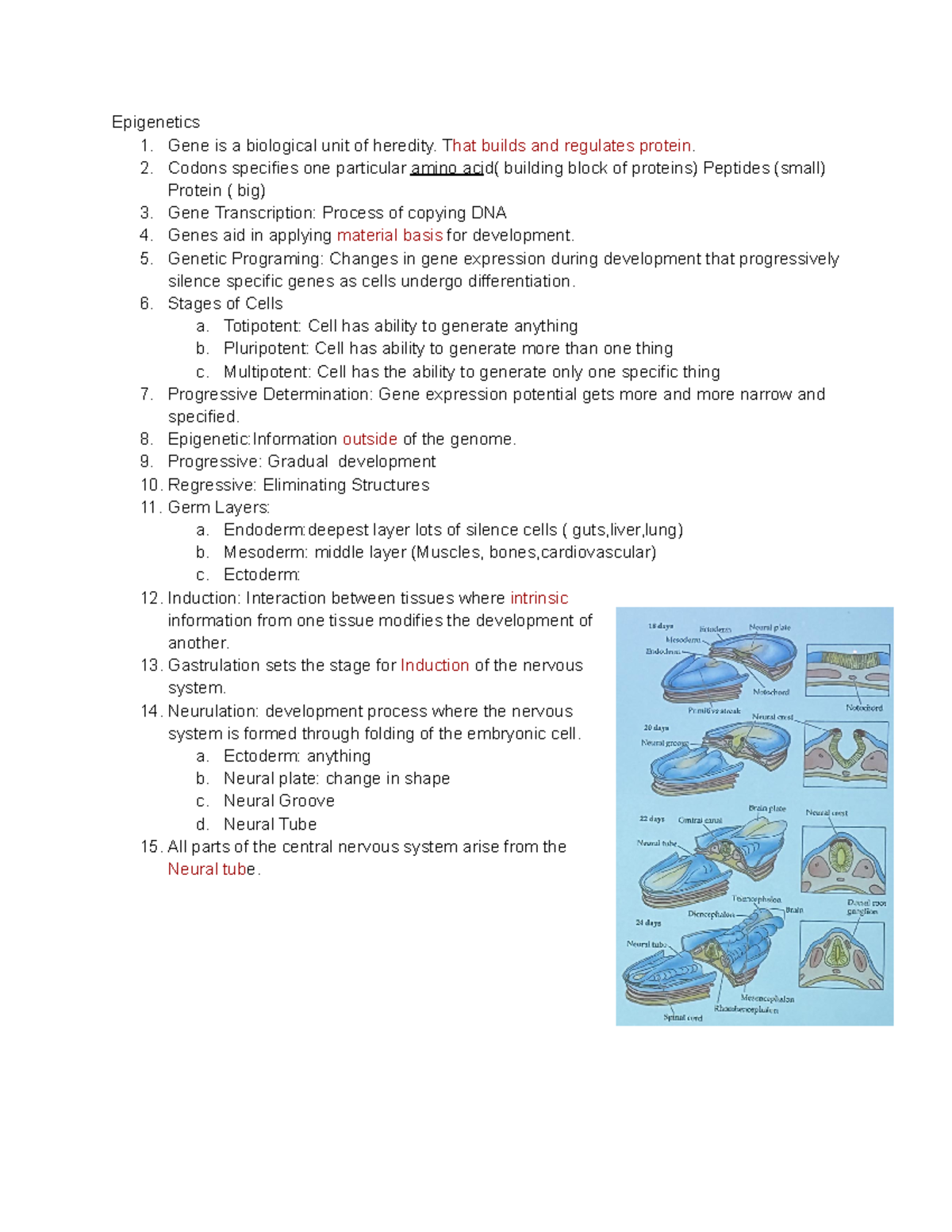 Neural Development and Epigenetics Study Guide (Course Code: EXAM 3 ...