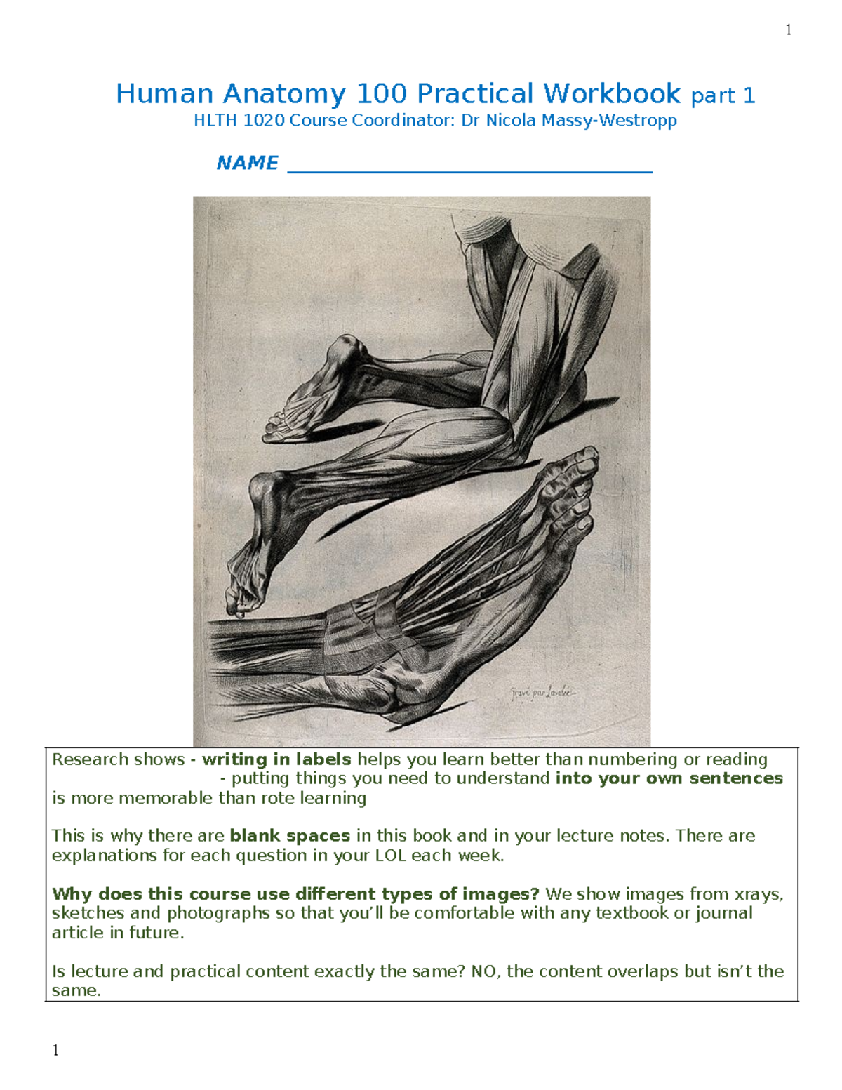 Human Anatomy 100 Practical Workbook Part 1 SP2 2024 - Studocu