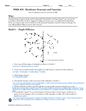 Prokaryotic and Eukaryotic Cells Pogil - BIO103 - Studocu