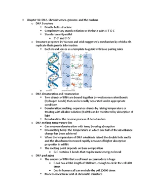 Biomolecules on the Menu HS Student Worksheet - Nutritional Insights ...