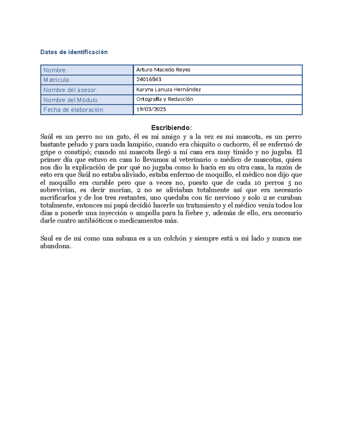 Ortografía y Redacción: Escribiendo sobre Saúl, mi perro (24016843 ...