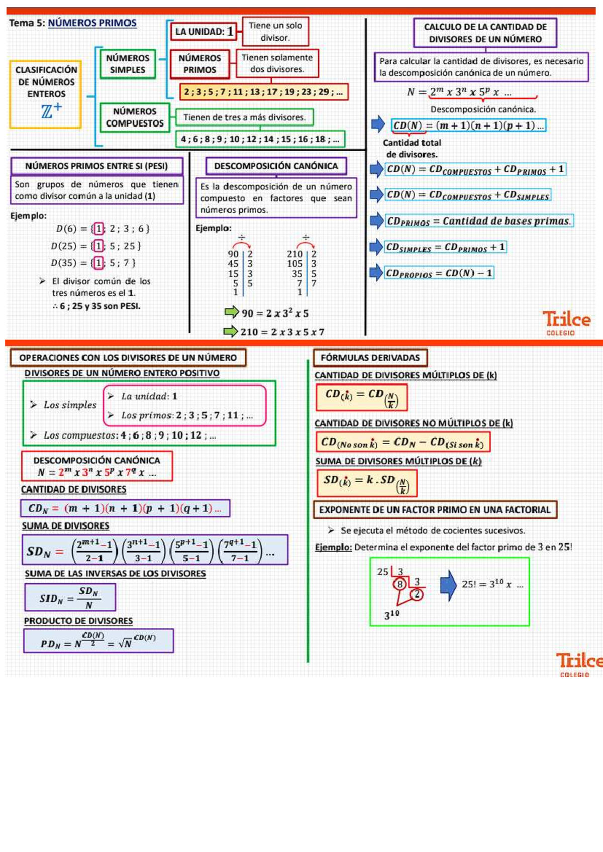 Tema 5: Números Primos y Divisores - Cálculo y Clasificación - Studocu