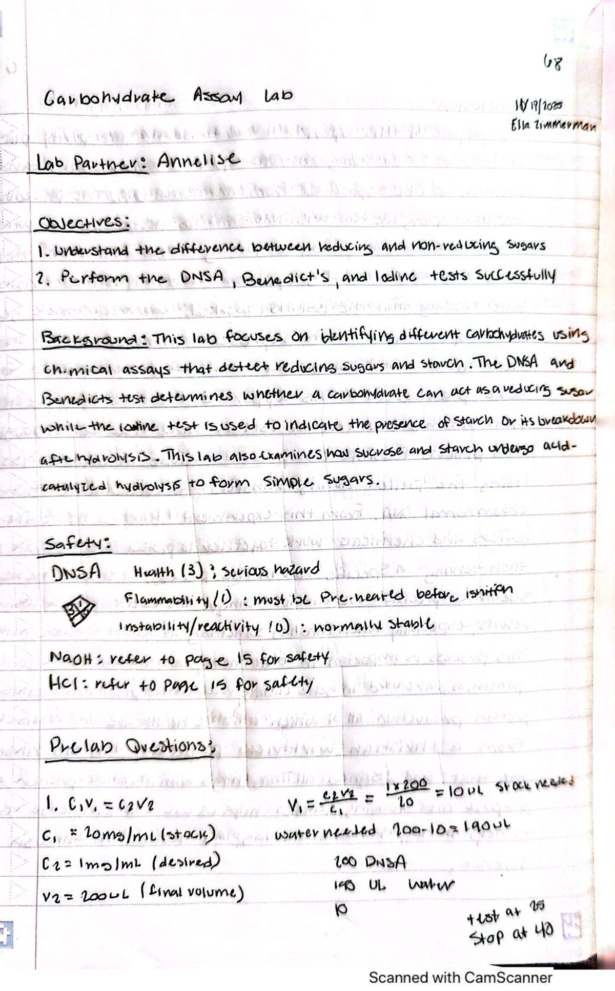 Carbohydrate Assay Lab (BIO 3300): Reducing Sugars & Hydrolysis ...