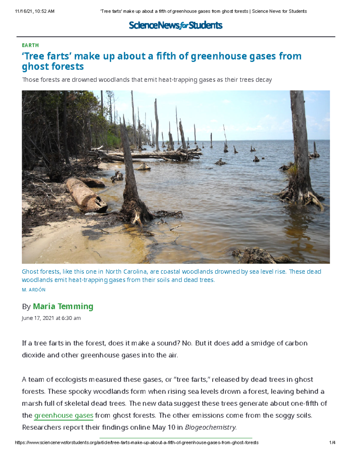 'Tree Farts': Greenhouse Gas Emissions from Ghost Forests - Study ...