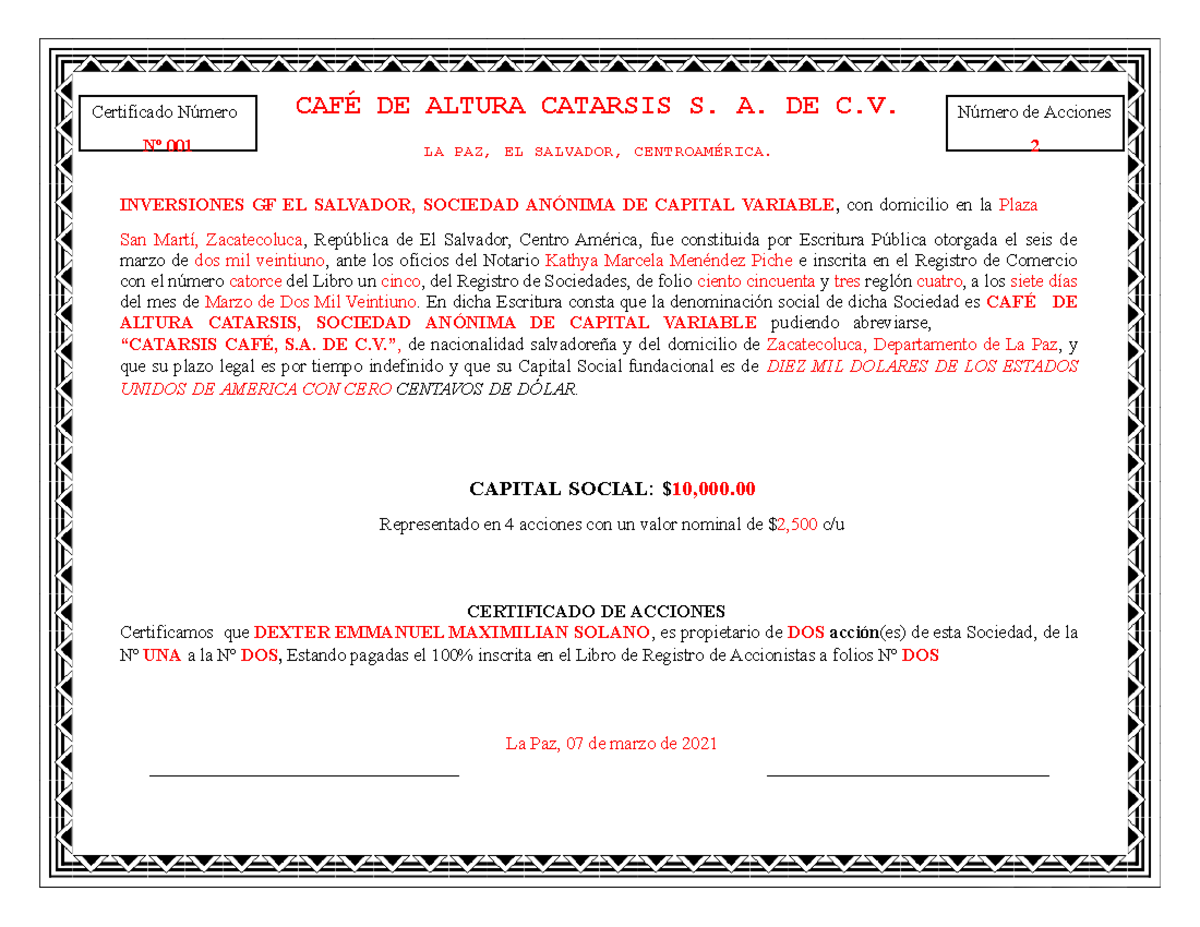 Certificado De Acciones Modelo