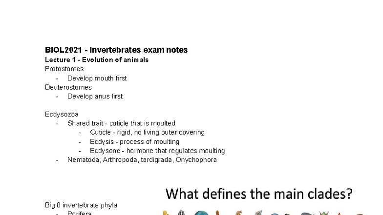 BIOL2021 Invertebrates Lecture Notes: Evolution & Phyla Overview - Studocu