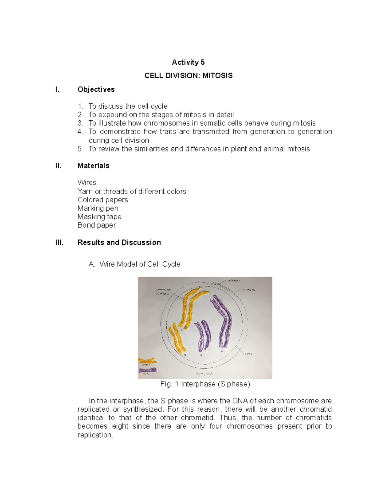 Cell Division and Mitosis: A Detailed Guide on Processes and ...