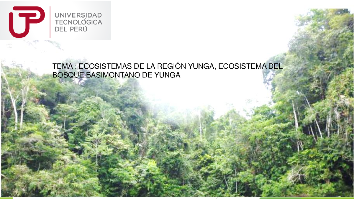 Avance Portafolio 1: Impacto Ambiental en Ecosistemas de Yunga - Studocu