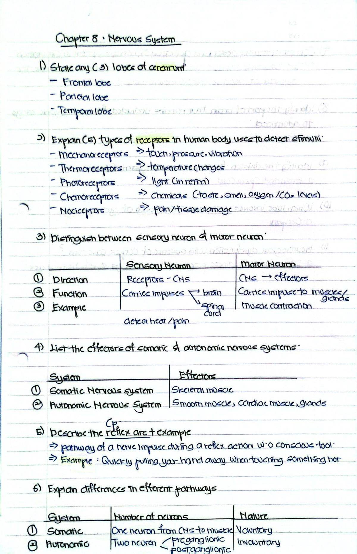 Chapter 8: Nervous System Overview - Key Concepts & Receptors - Studocu