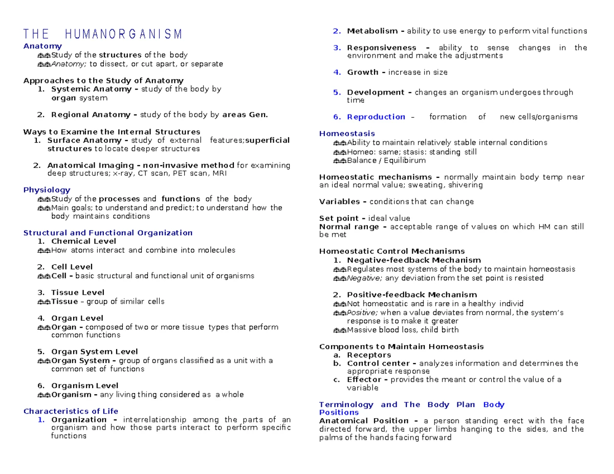 Anatomy & Physiology Study Guide: Key Concepts & Subdivisions - Studocu