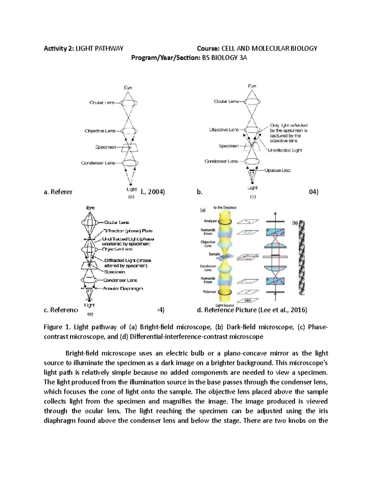 Light Pathway Notes for Cell and Molecular Biology (BS BIO 3A) - Studocu