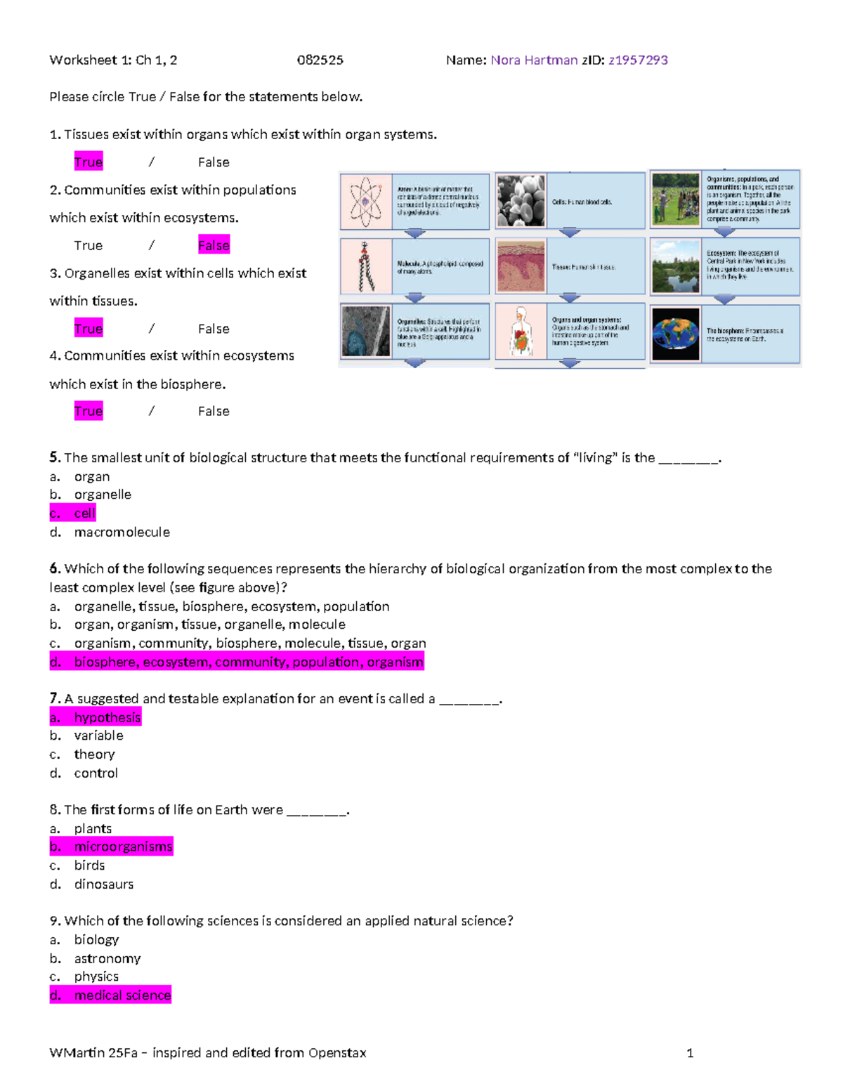 Final Exam Study Guide: ABC123 - Biological Organization ...