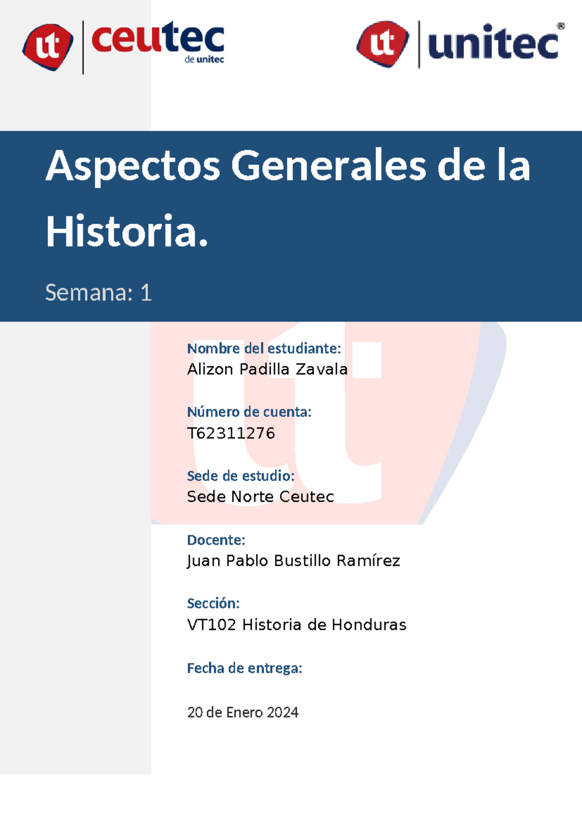 Aspectos Generales de la Historia en VT102: Introducción y Metodología ...