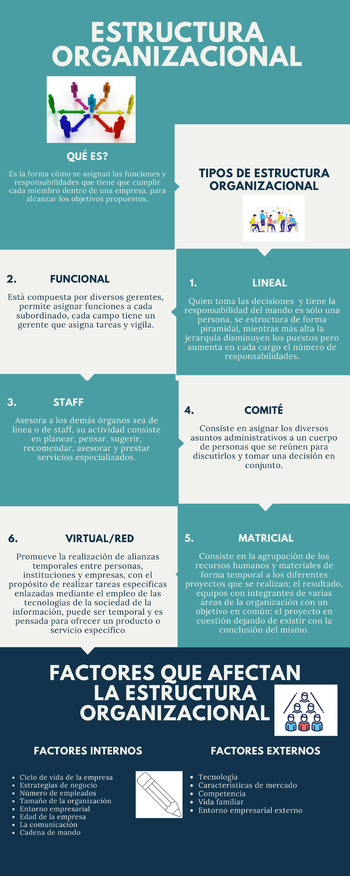 Infografía - estructura organizacional - Control Administrativo - Studocu