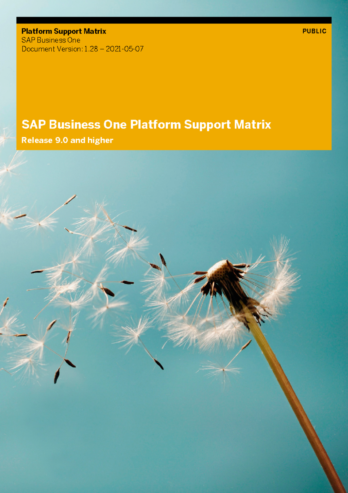 SAP Business One Platform Support Matrix (Release 9+) Documentation ...