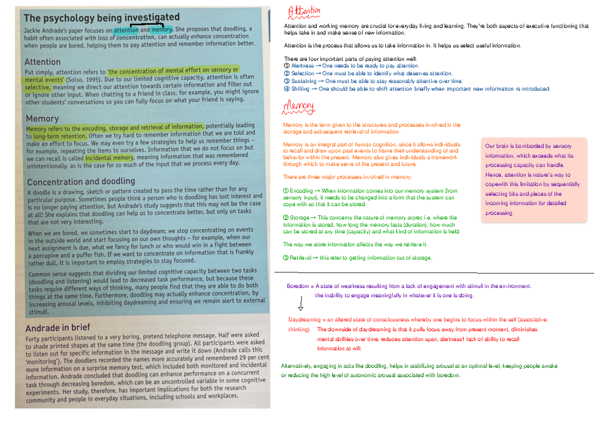 Summary of Andrade et al. - Attention, Memory, and Doodling in ...