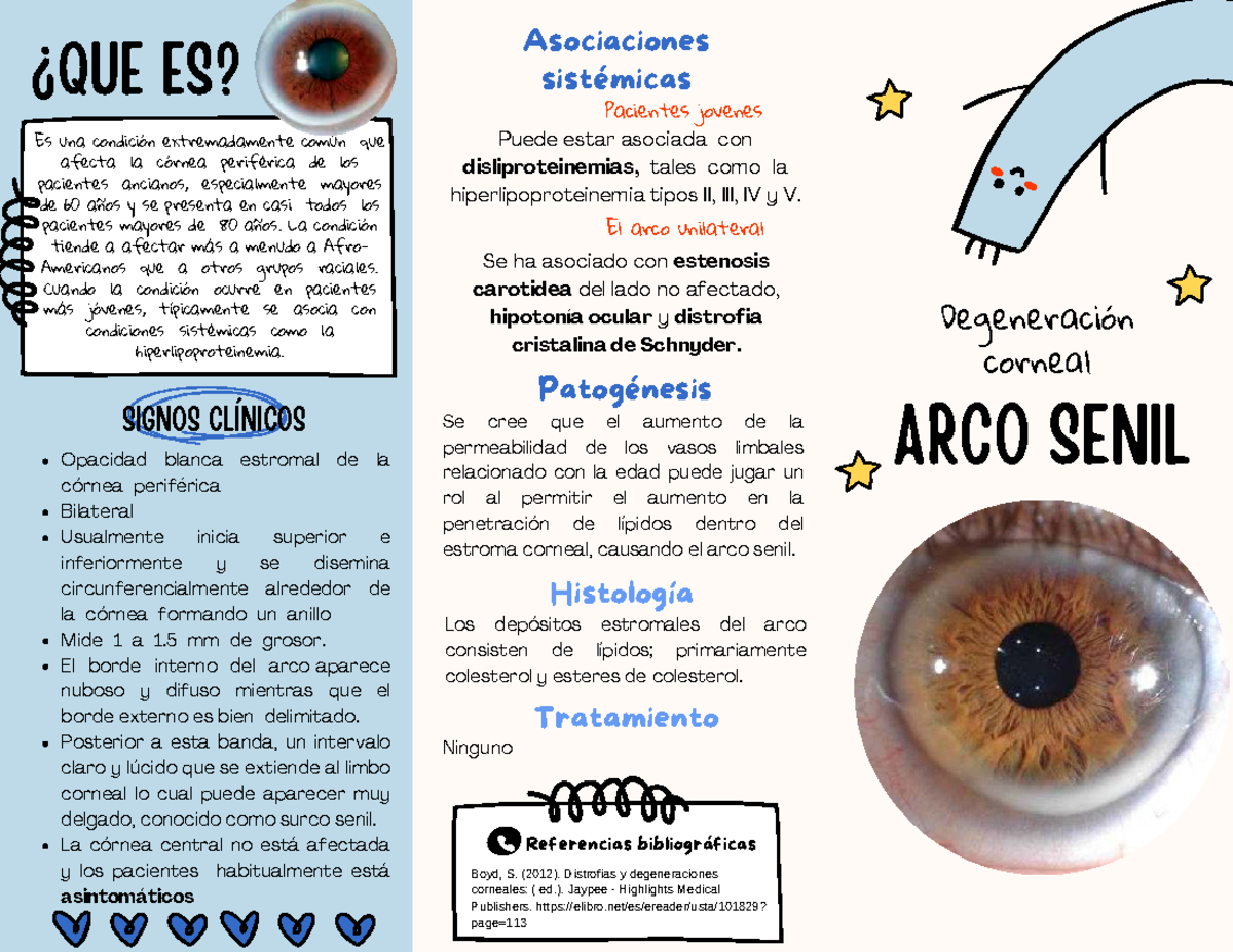 Degeneraciones Corneales: Arco Senil, Halo Limbal y Más - Studocu