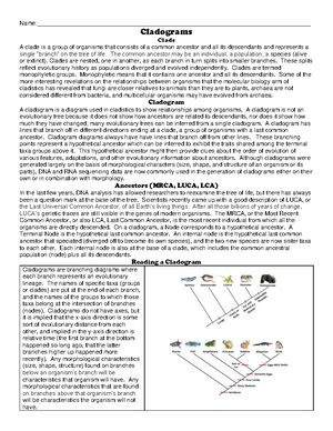 Khadafi Scott - 2 - Cladogram Practice Interpreting Relationships ...
