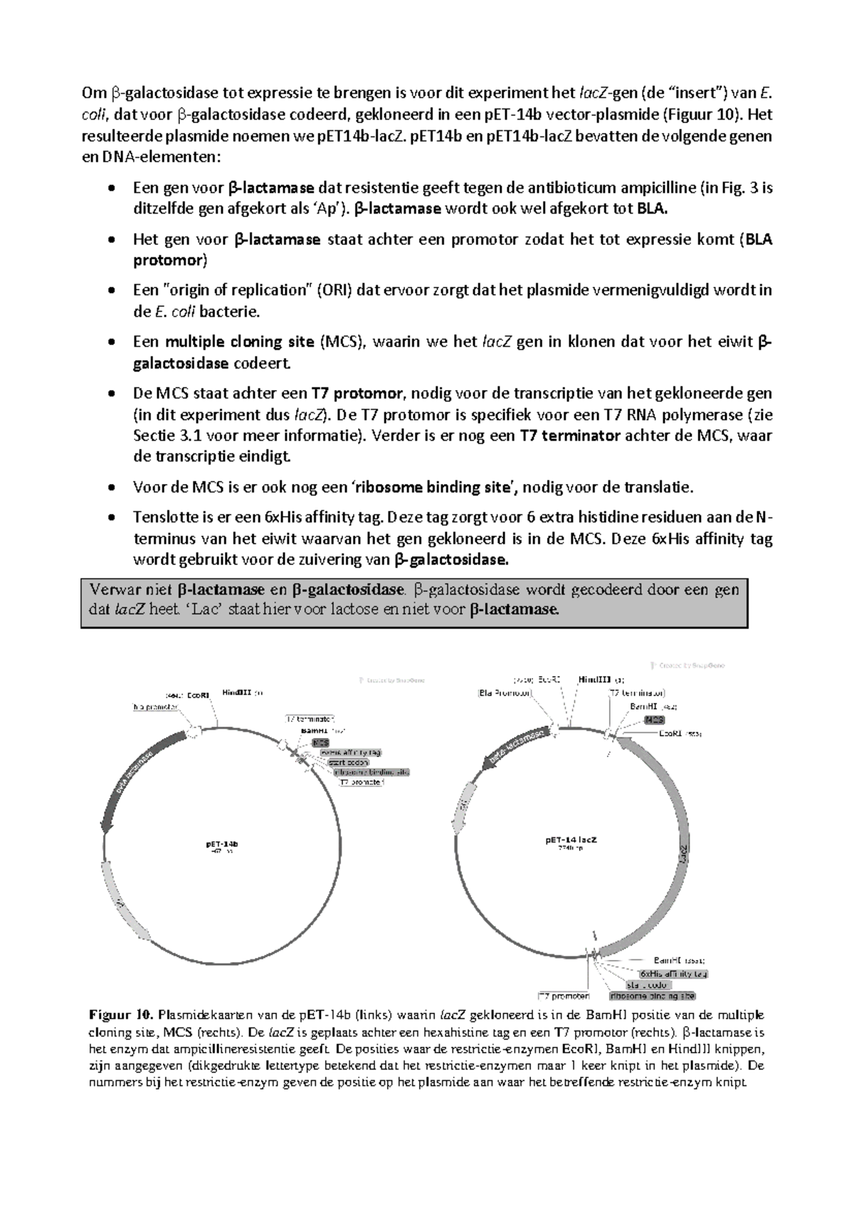 Plasmidekaarten en Uitleg van Benaming voor pET-14b-lacZ Experiment ...