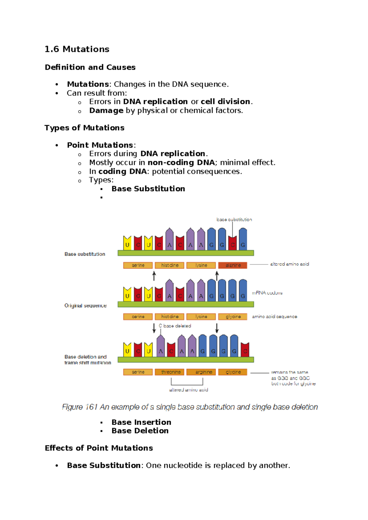 Bio 101: Mutations and Gene Expression Notes - Studocu